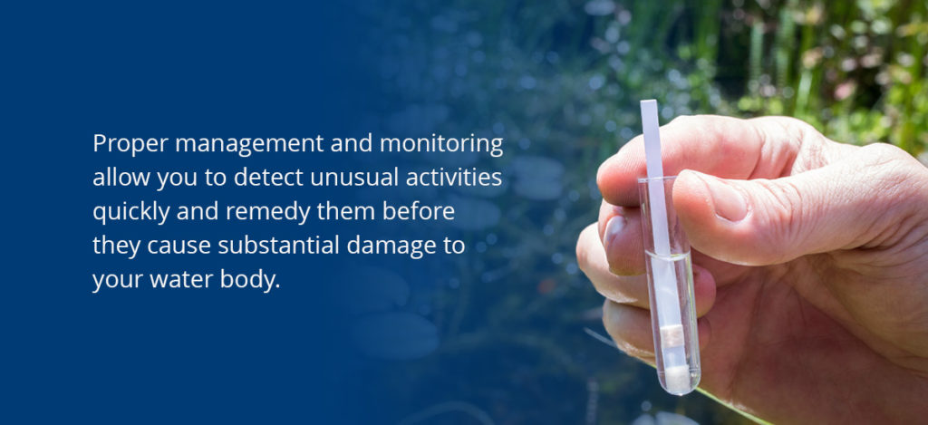 How to Tell If your Lake or Pond Needs Water Quality Testing