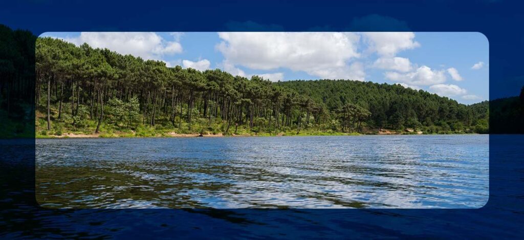 Guide to Building Your Annual Lake Management Plan - Lake and Pond ...